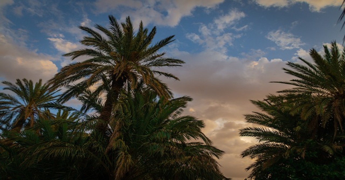 Festival de los Datiles en Erfoud